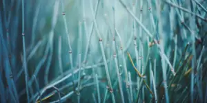 Future Self Visualization: In 3 Easy Steps - Latterly.org